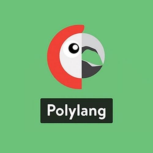 Download Polylang For AMP GPL Plugin Free - jetoo.kz - Онлайн ...